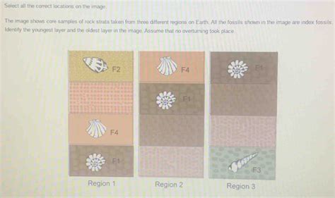 Solved Select All The Correct Locations On The Image The Image Shows