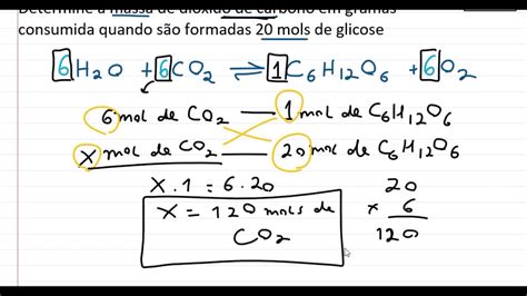 Exercícios De Dióxido De Carbono BRAINCP