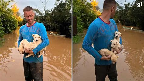 Homem salva filhotes de cachorro de enchente após temporal no RS
