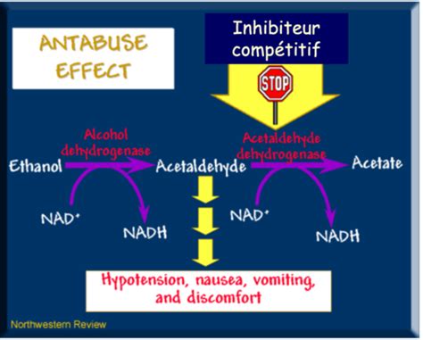 Biochimie Et M Tabolisme Flashcards Quizlet