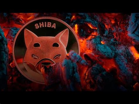 URGENTE VEJA ESSA INFORMAÇÃO DE SHIBA INU SHIBARIUM É A REVOLUÇÃO