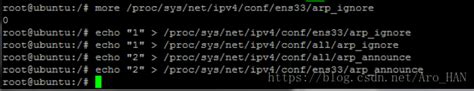 lvs 配置 linux lvs udp转发 csdn博客