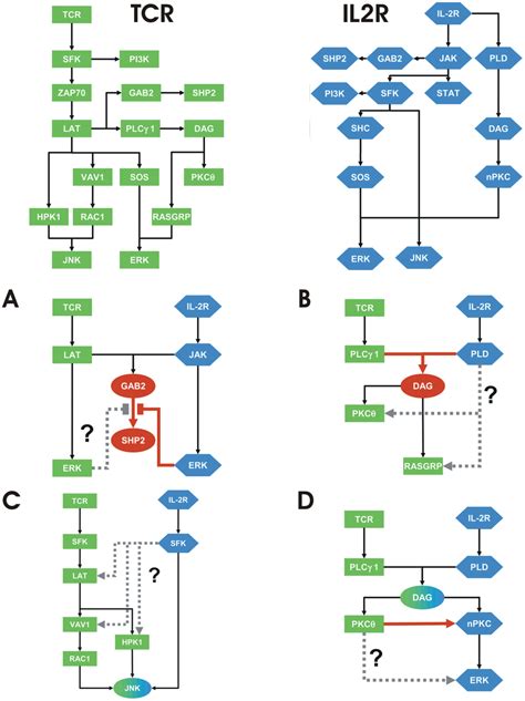 questions arising during the model merging process to merge networks download scientific