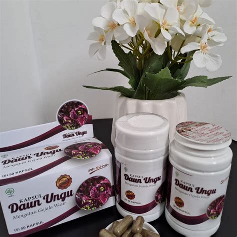Jual Kapsul Daun Ungu Ash Shihhah Kota Depok Grosir Herbal