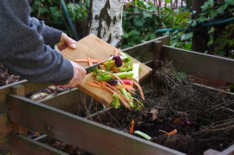 Compost Obligatoire Au 1er Janvier 2024 Ce Que Cette Mesure Va