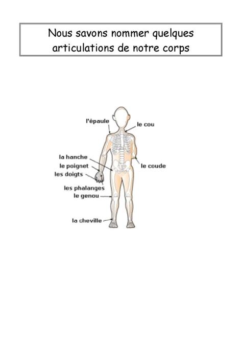 1000 Images About Ddm On Pinterest Anatomy French Words And Life Cycles