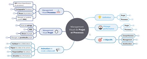 Map Management Visuel Projet Et Processus Management Visuel