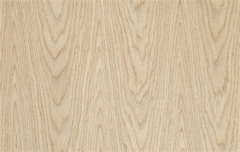 European Oak Veneer Sheets High Quality Decorative Veneer