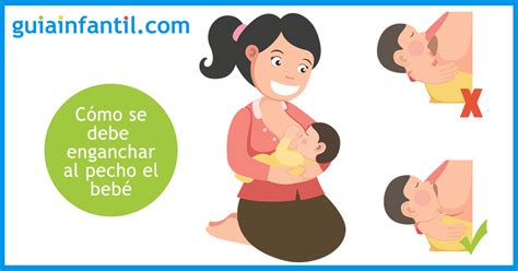 Como Hacer Que Mi Bebe Agarre De Nuevo El Pecho