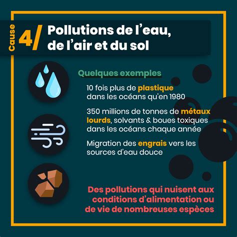 Les Causes Du D Clin De La Biodiversit L Iglou
