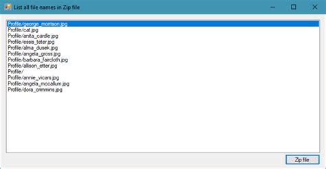 foxlearn windows forms