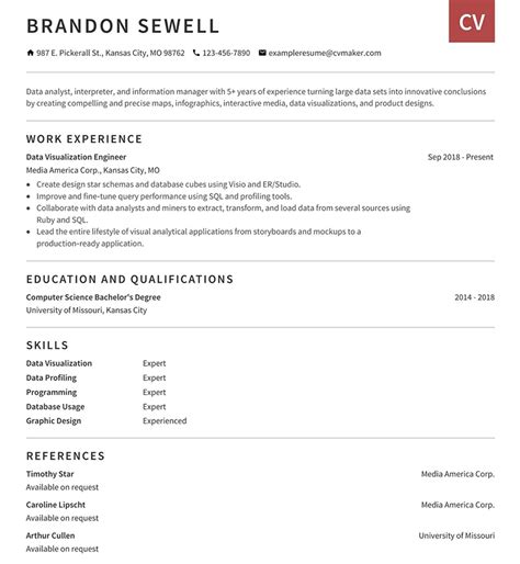 Data Visualization Resume Sample Example Writing Tips 2024 CVmaker