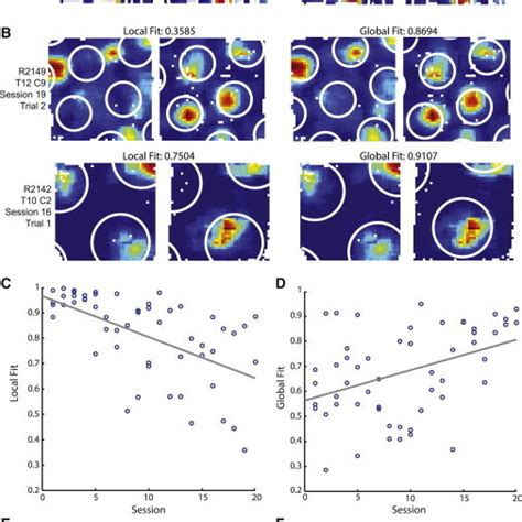 grid cell firing patterns transition from a local to a global download scientific diagram