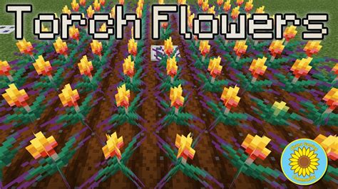 Minecraft Java Torch Flowers YouTube