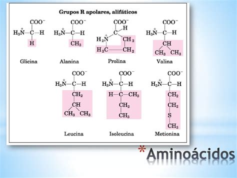 AMINOÁCIDOS E PEPTÍDEOS RGB BIOQUÍMICA ppt carregar