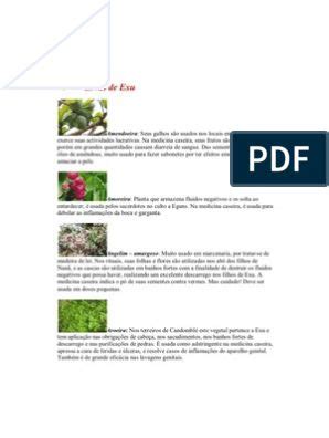 Manual De Oftalmologia Veterinaria PDF Olho Humano Sistema Visual