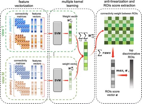 identification of the top discriminative rois using multiple kernel download scientific diagram