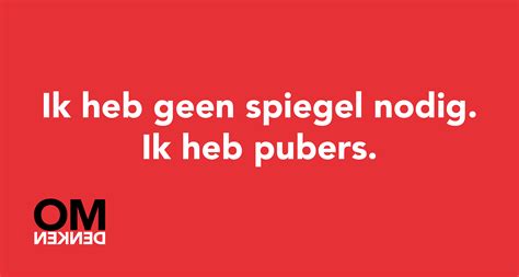Spiegel Quote Omdenken