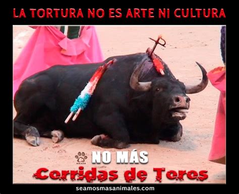 Repudiable El Congreso Español aprueba que las corridas de toros sean