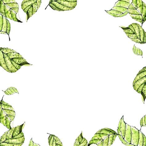 Un Conjunto De Ilustraciones En Acuarela De Cerezas Jugosas Bayas De
