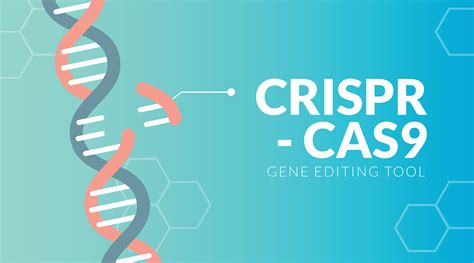 On Your Table Blog NDFB Explaining CRISPR