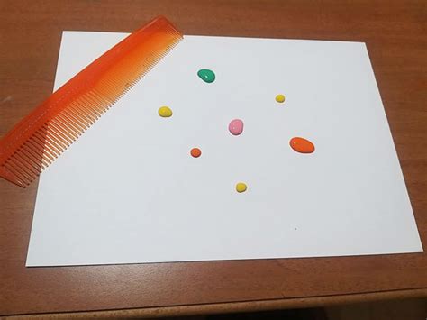 Arcobaleno il pesciolino più bello di tutti i mari Laboratori nelle
