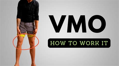 3 Quadriceps VMO Strengthening Exercises For Any Level YouTube