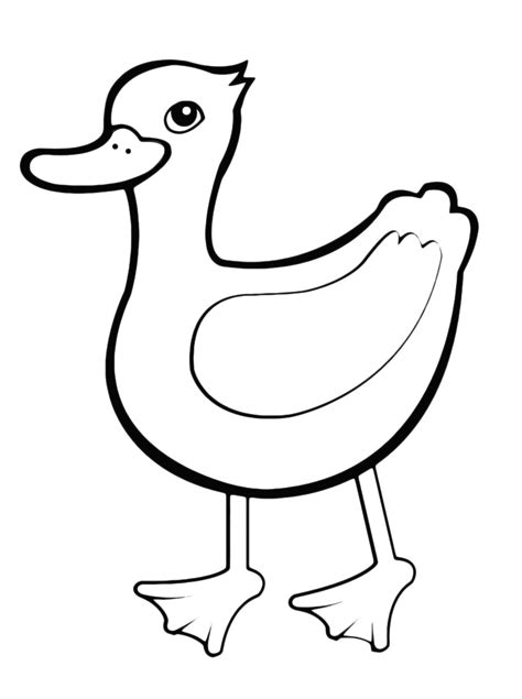 Disegno Di Papera Da Colorare Per Bambini Artofit Porn Sex Picture