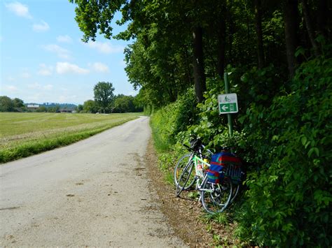 Top Des Balades V Lo Autour De Meggenhofen Parcours Et Traces Gps