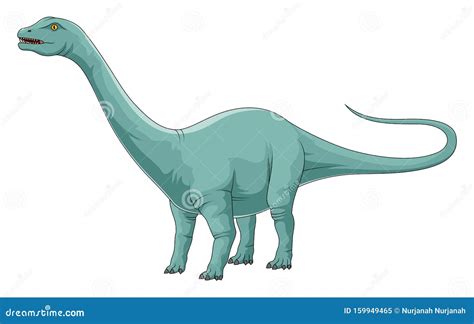 Brontosaurus The Highest Dino Stock Vector Illustration Of Large