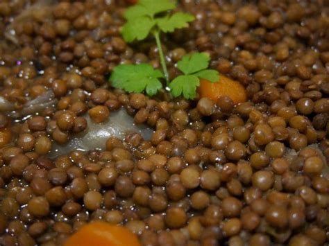 Recette Des Lentilles Vertes Du Puy Recette Par Chef Papounet