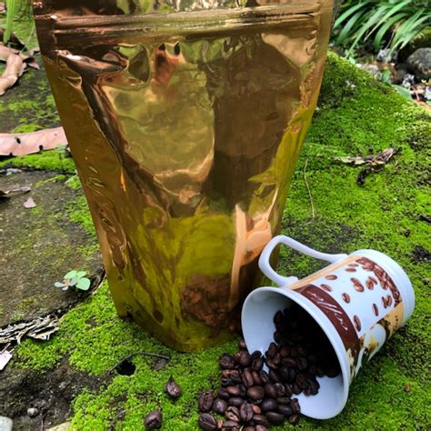 Jual Kopi Bubuk Arabica Sidikalang Ori Gr Shopee Indonesia