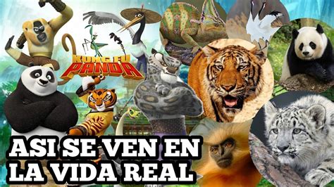 ASÍ se VEN en la VIDA REAL los PERSONAJES de KUNFU PANDA YouTube