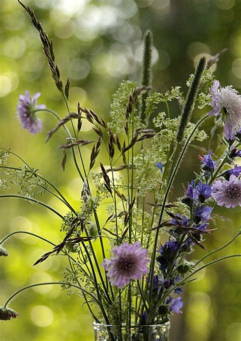 Bukett Sommar Blommor Gratis foto på Pixabay Pixabay