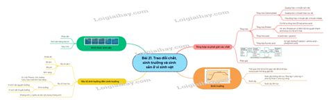 Lý thuyết trao đổi chất sinh trưởng và sinh sản ở vi sinh vật Sinh