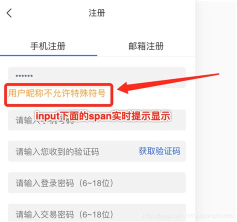 vue项目中使用vee validate表单验证 csdn博客