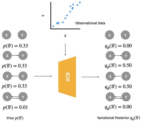schematic diagram of variational inference on scms with vcn download scientific diagram