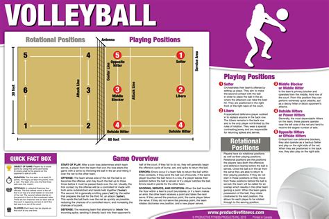Regra Básica Do Voleibol LIBRAIN
