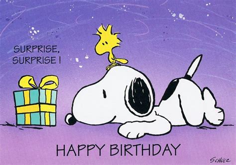 Happy Birthday Snoopy Quotes
