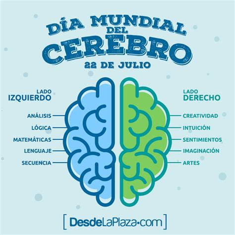 Hoy se celebra el Día Mundial del Cerebro