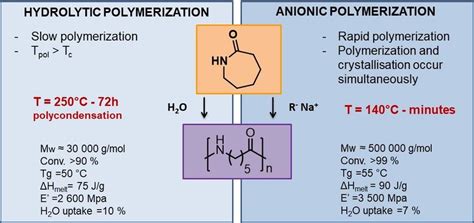 Comparison Between Hydrolytic Polymerization And Anionic Ring Opening