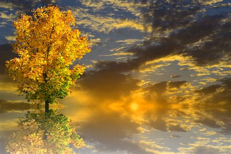 Otoño Árboles Paisaje De Imagen gratis en Pixabay Pixabay
