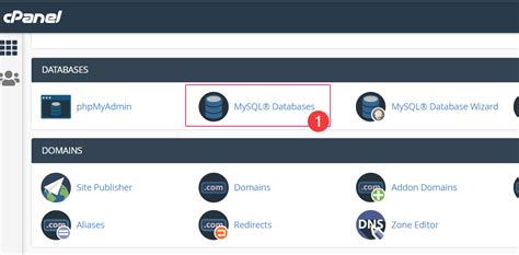 View Cpanel Mysql Data From Excel Sheet Haneef Puttur