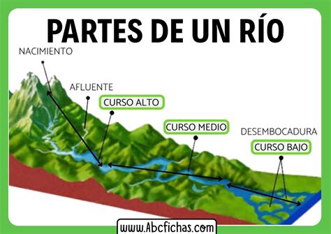 Las Partes De Un Rio ABC Fichas
