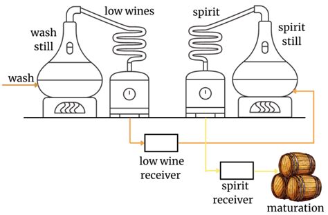 Scotch Tasting Guide To Whisky Terms Wi Fi Vitae