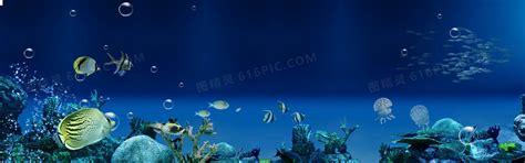 梦幻海底世界背景背景图片下载 1920x600像素JPG格式 编号18rf69o0z 图精灵