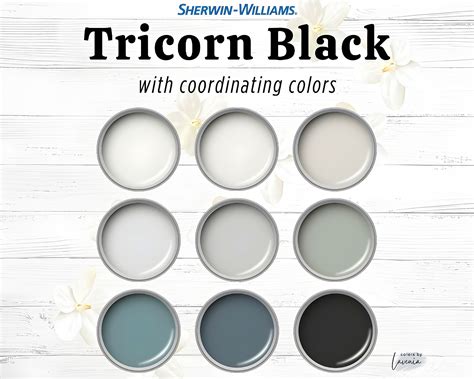 Tricorn Black Sherwin Williams Palette Black Paint Color For Whole