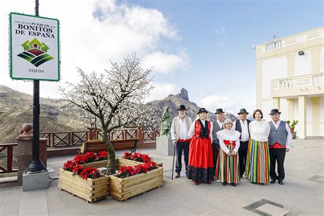 Programa Fiestas Del Almendro En Flor 2023 Ayuntamiento De Tejeda