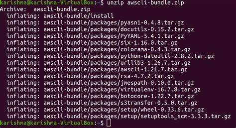 install aws cli ubuntu online tutorials library list