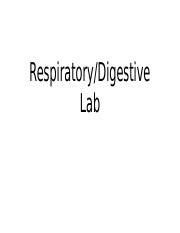 Understanding Respiratory And Digestive Systems Epithelial Course Hero